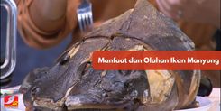 Manfaat dan Olahan Ikan Manyung - Seafood22
